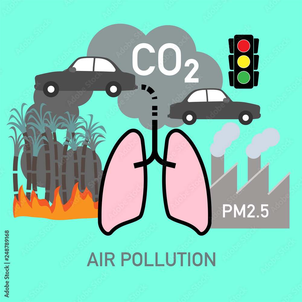 Infographic of air pollution causes and effects by human activities ...