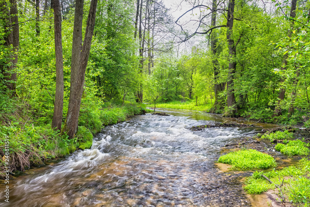 Szumy na Tanwi (Cascades on Tanew River) Roztocze (Roztochia ...