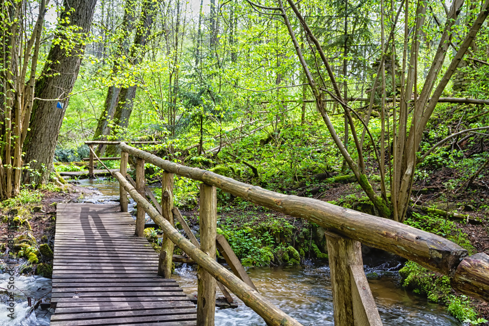 Szumy na Tanwi (Cascades on Tanew River) Roztocze (Roztochia ...