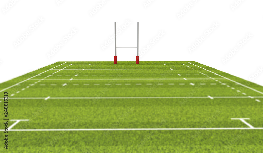 Rugby pitch with lines and goals. 3D Rendering Stock Illustration ...