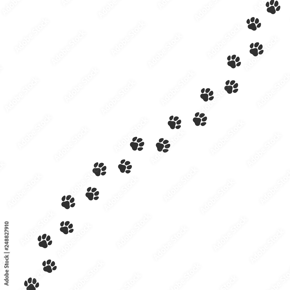 Paw print trail on white background. Vector cat or dog wild animal ...