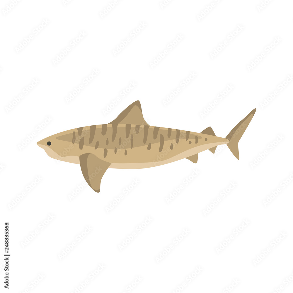 Tiger shark color vector icon. Flat design Stock Vector | Adobe Stock