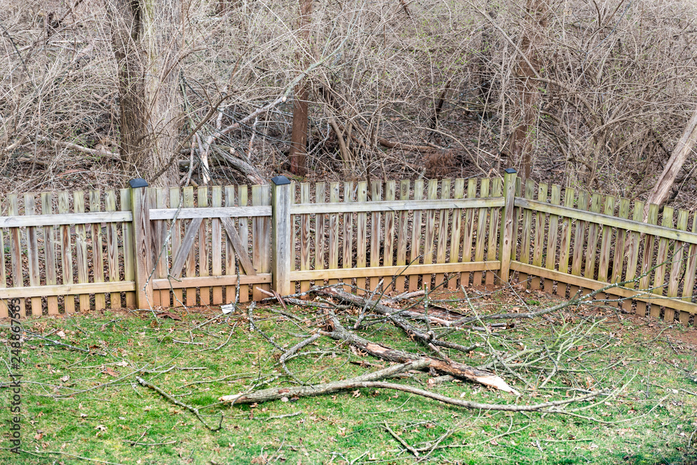 Home backyard wooden fence with many fallen tree branches after winter ...