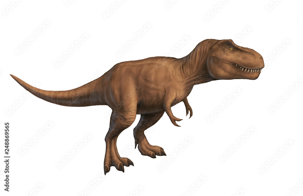 Tyrannosaurus rex isolated Stock Illustration | Adobe Stock