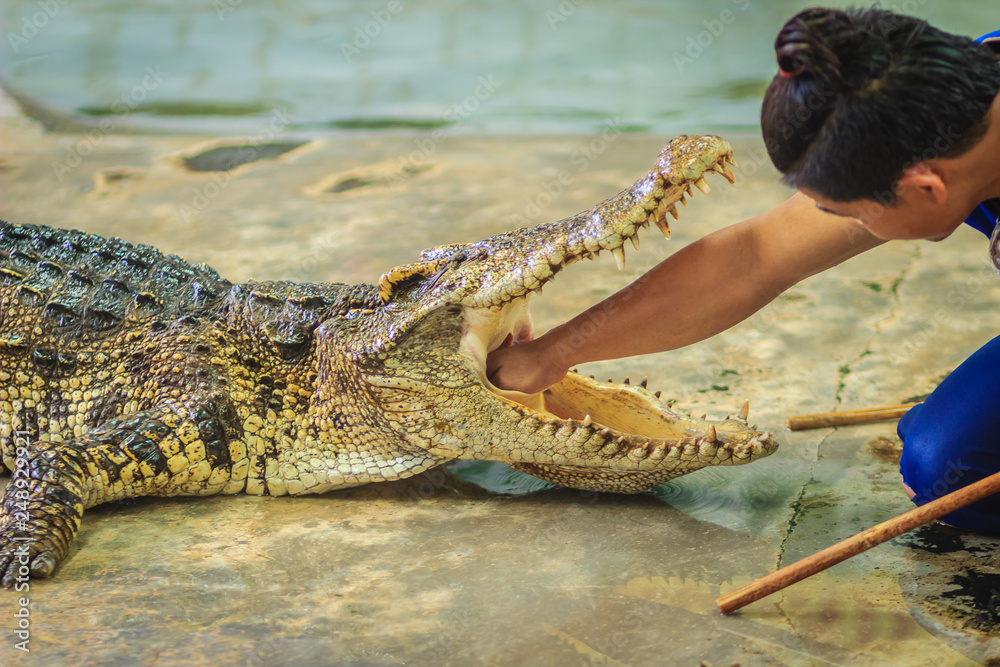 Showman using his hand to delve to the throat of the opened mouth's ...