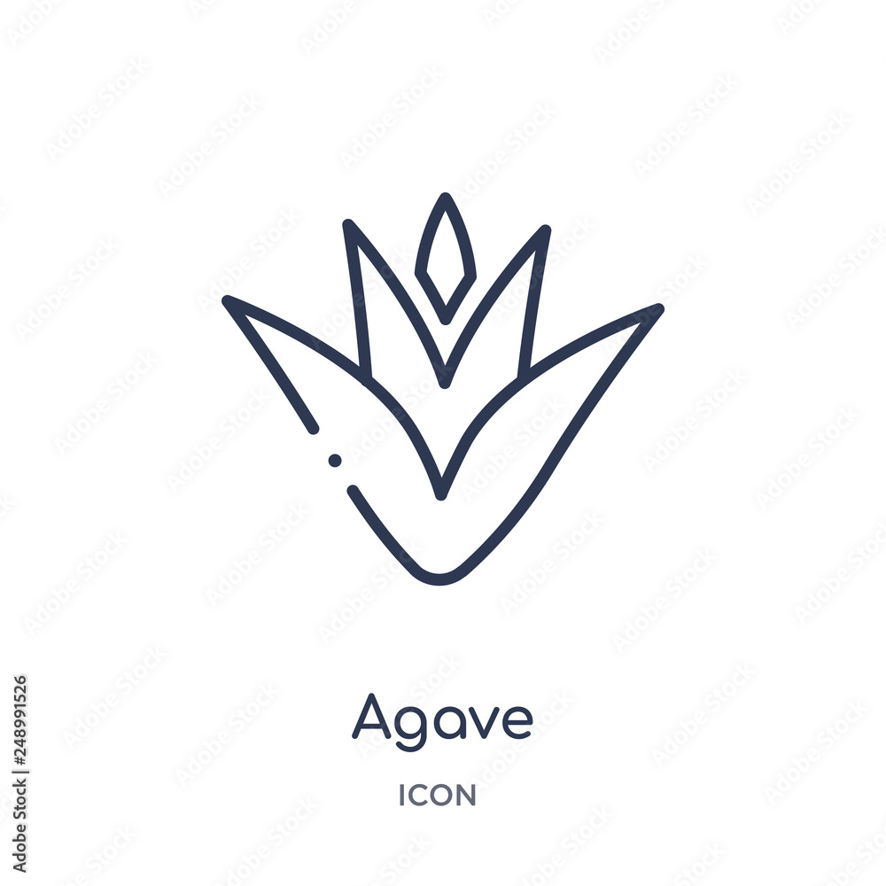 agave icon from nature outline collection. Thin line agave icon isolated on white background ...