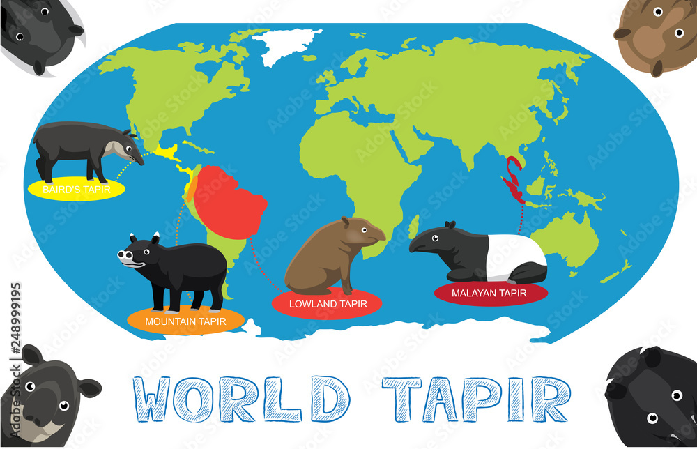Tapir Distribution World Map Cartoon Vector Stock Vector | Adobe Stock