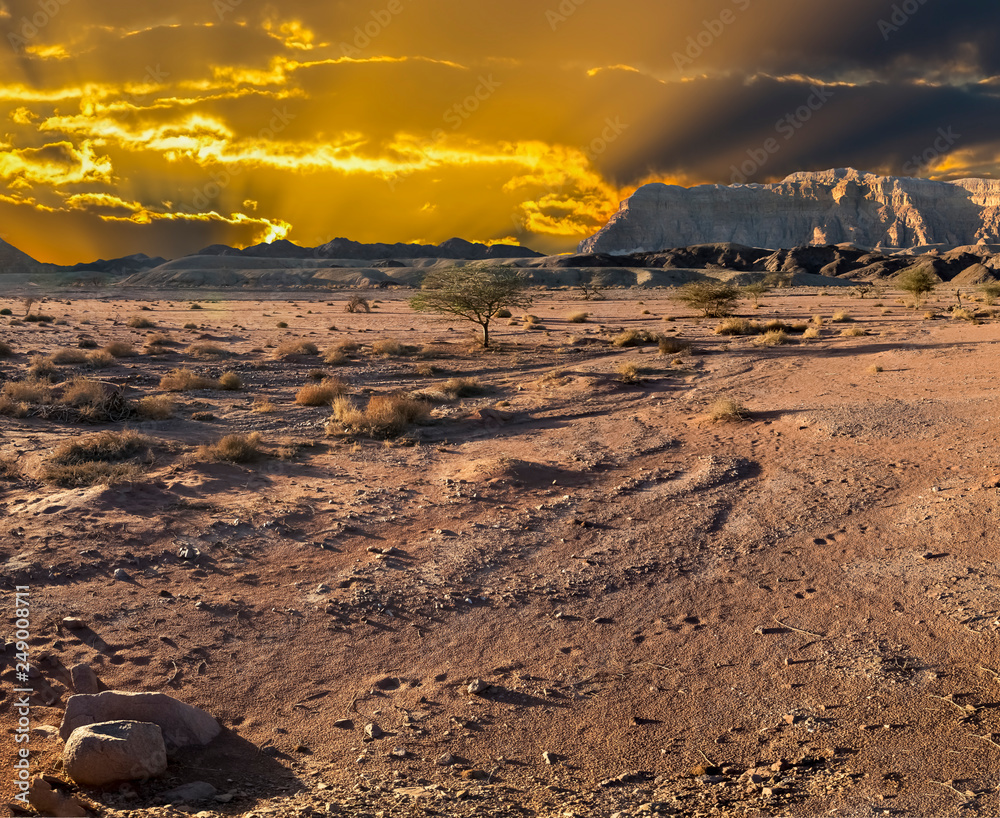 Volcanic landscape in geological Timna park, Israel. It is located 25 ...
