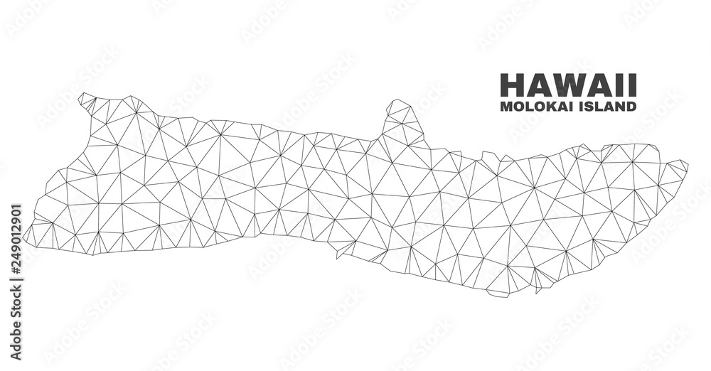 Abstract Molokai Island map isolated on a white background. Triangular mesh model in black color ...