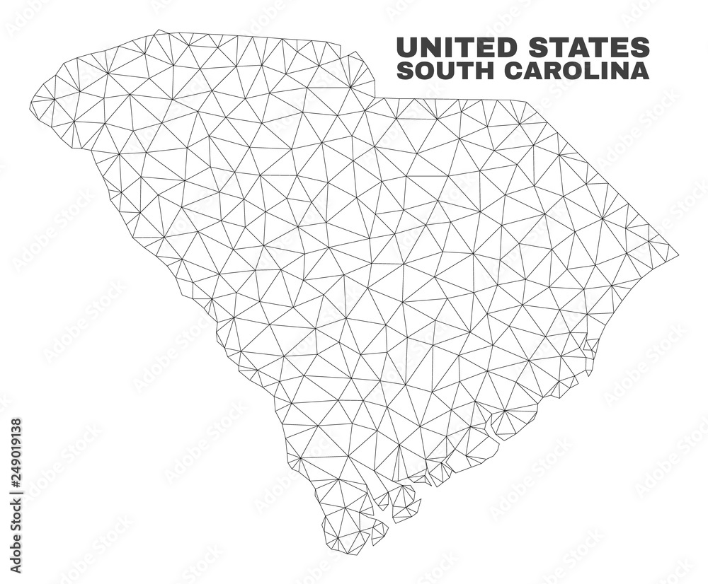 Abstract South Carolina State map isolated on a white background ...