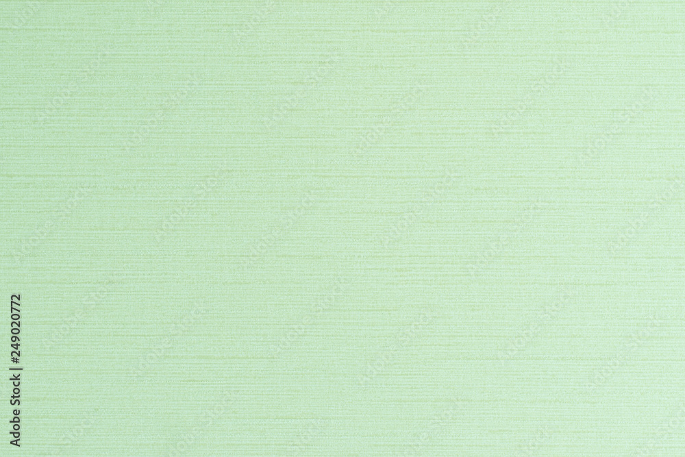 Light Green Paint Texture