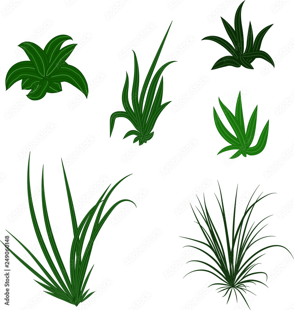 Leaves Of Grass Clipart Background