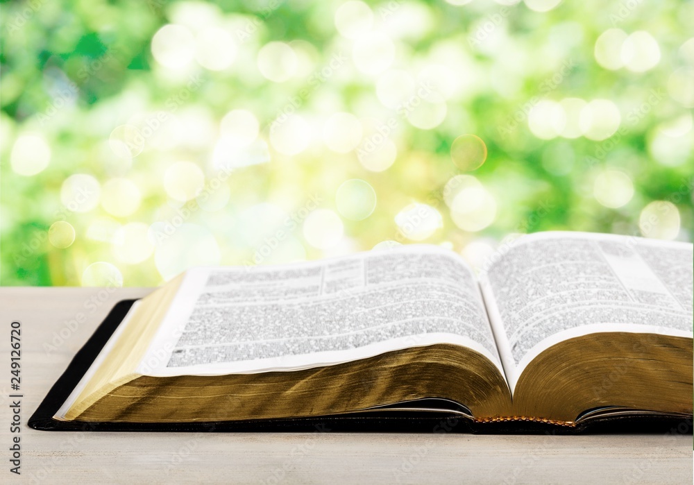 Holy Bible Background
