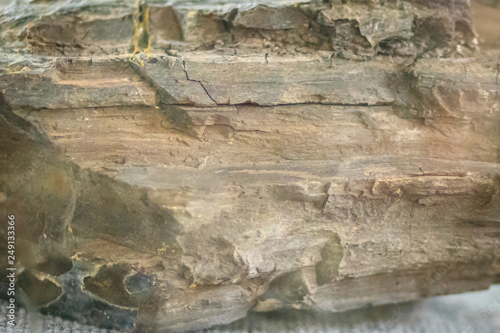 Lignite or brown coal specimen. Lignite is a soft brown combustible ...