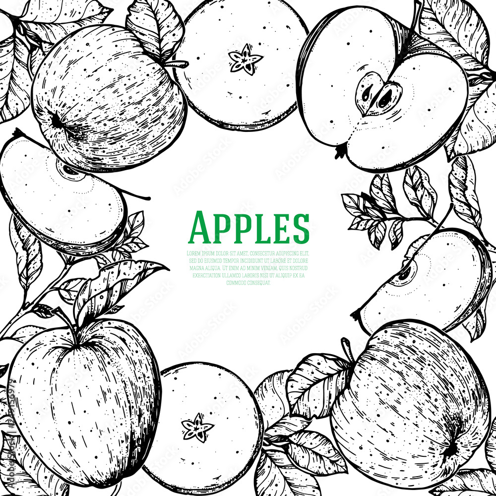 Apple hand drawn illustration. Apple sketch vector illustration. Apple ...
