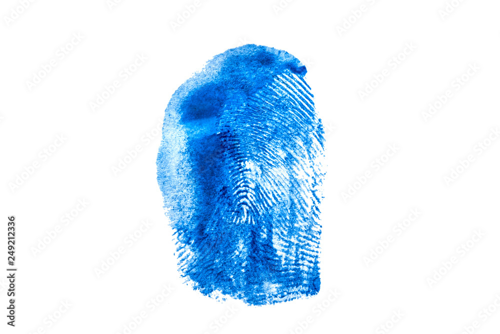 Fingerprint texture in blue paint on white isolated background Stock ...
