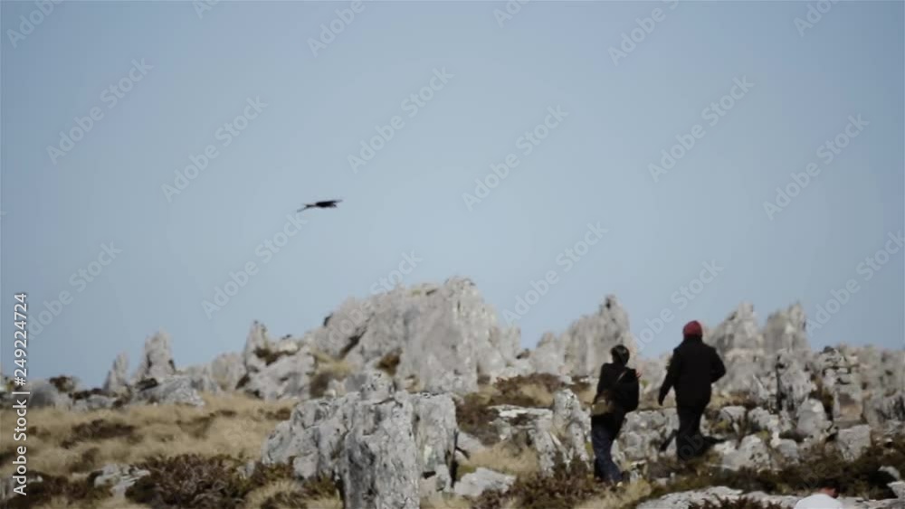 A Bird flying over Wireless Ridge, Scene of a Battle during Falklands ...
