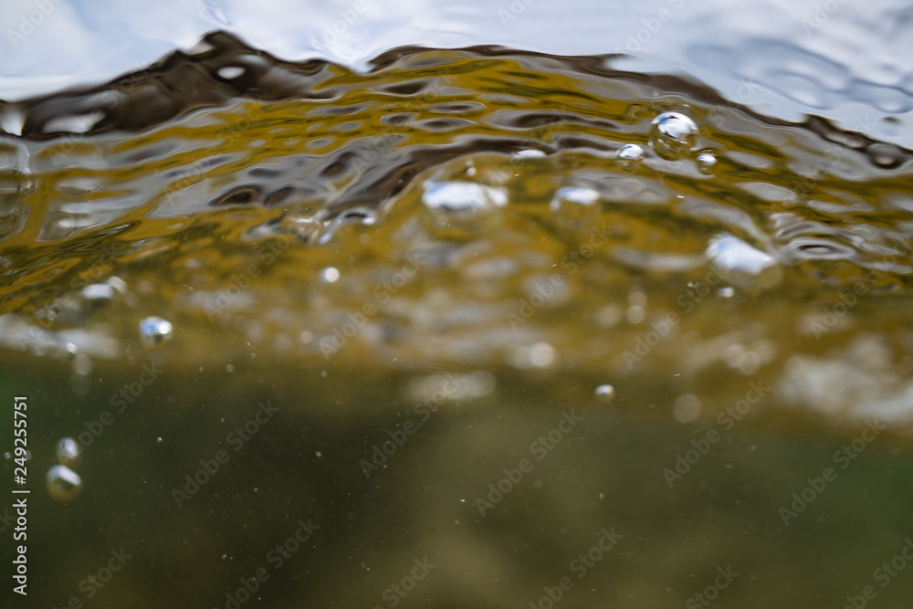 Foto de inside the dome, under water photography with an underwater ...