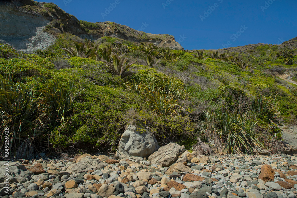 Rocks and cliffs at Farewell Spit Beach. Westcoast New Zealand Stock ...