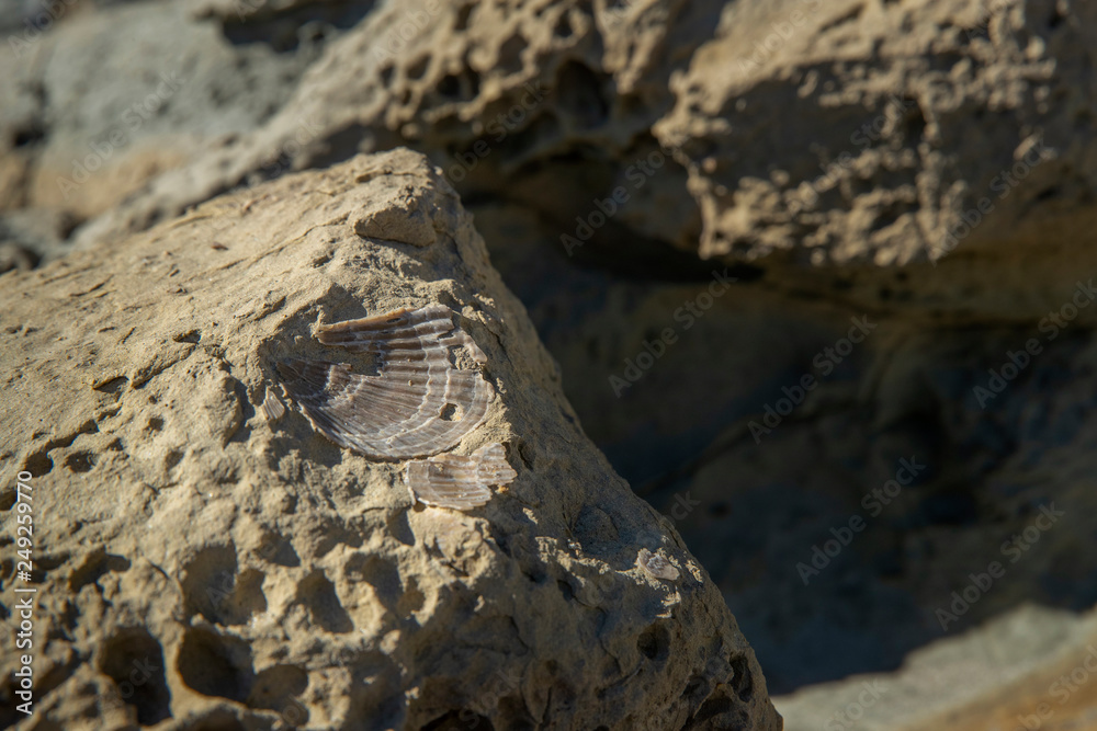 Rocks and cliffs at Farewell Spit Beach. Westcoast New Zealand Stock ...