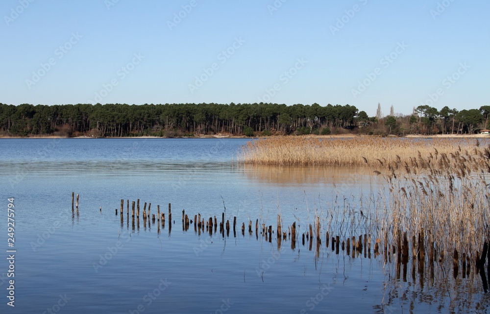 le lac de Cazaux et Sanguinet sur la côte atlantique Stock Photo ...