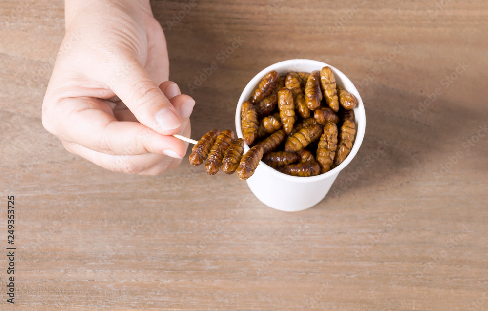 Woman's hand holding disposable cup which containing Silkworm Pupae ...