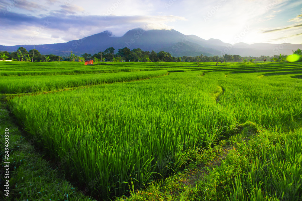 Landscape view beauty morning amazing sky and color in indonesia nature ...