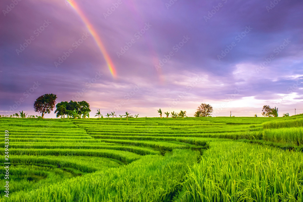 Very Cool Pictures Of Nature