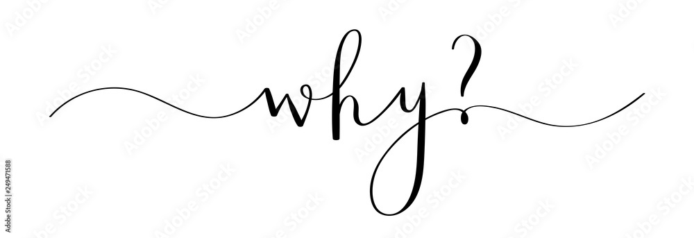 WHY? brush calligraphy banner Stock Vector | Adobe Stock