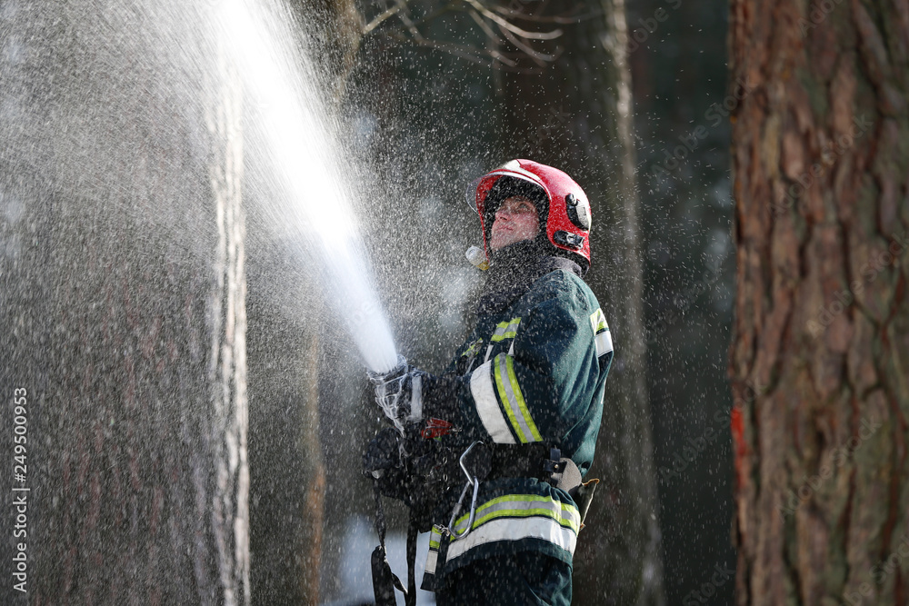 Firefighting of the forest .The brave fireman will extinguish the fire ...