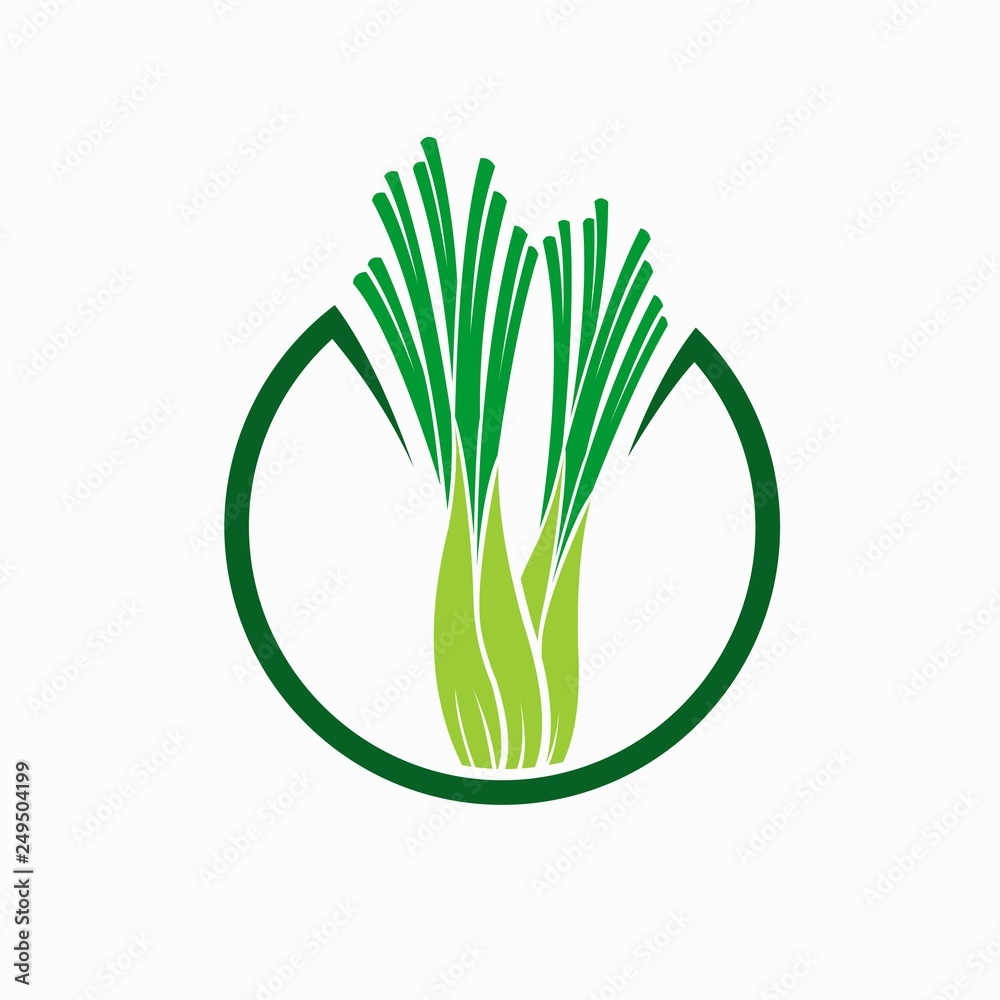 Citronella vector logo Stock Vector | Adobe Stock