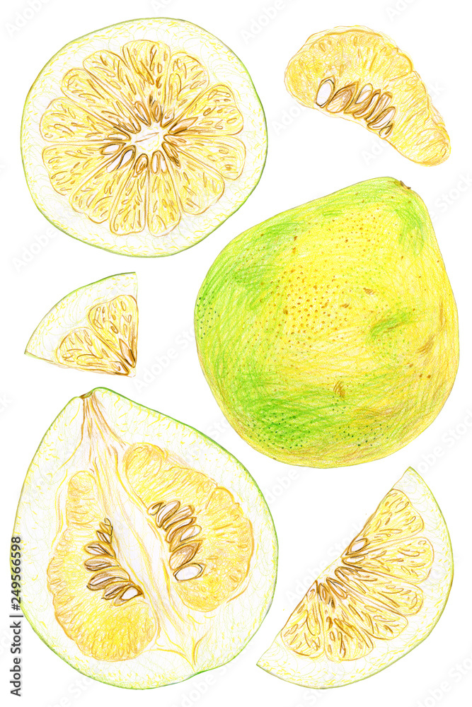 set of pomelo isolated on white background. Whole fruits and slices ...