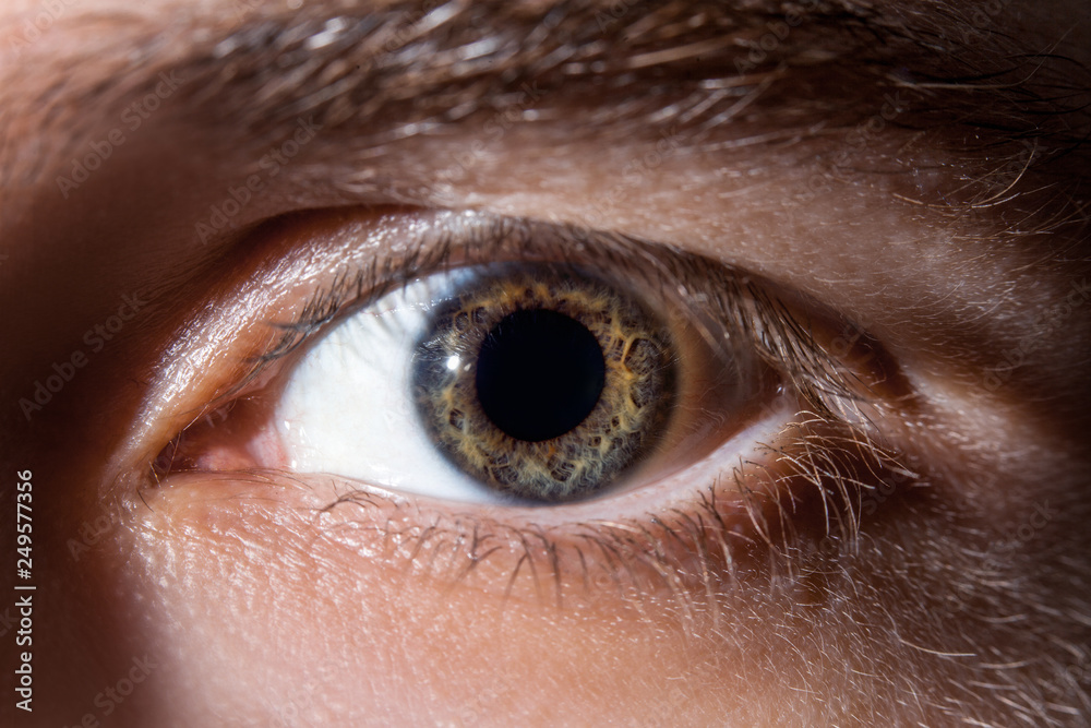 Human Eye Iris Close Up