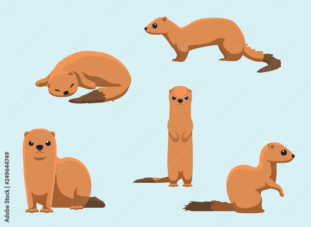 Invasive Species Small Indian Mongoose Vector Illustration Stock Vector ...