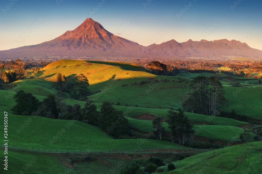 Mount Taranaki under the blue sky with grass field and cows as a ...