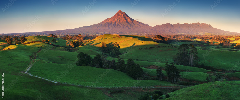 Mount Taranaki under the blue sky with grass field and cows as a ...