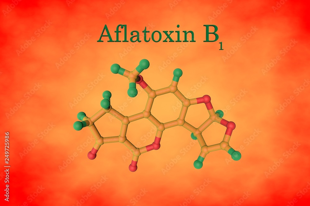 Molecular structure of aflatoxin B1, a potent hepatotoxic and ...