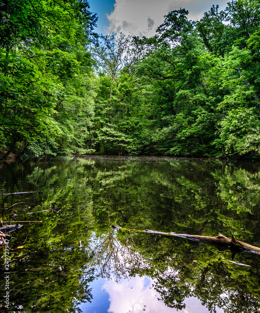 Small lake reflecting the surrounding beautiful trees - Lake Silbersee ...