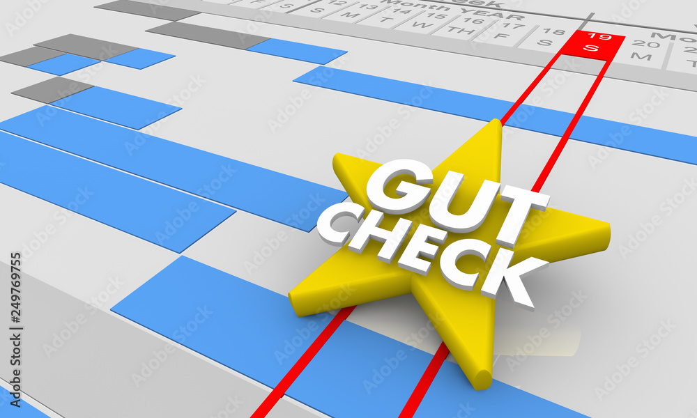 Gut Check Review Opinion Feedback Gantt Chart 3d Illustration Stock ...