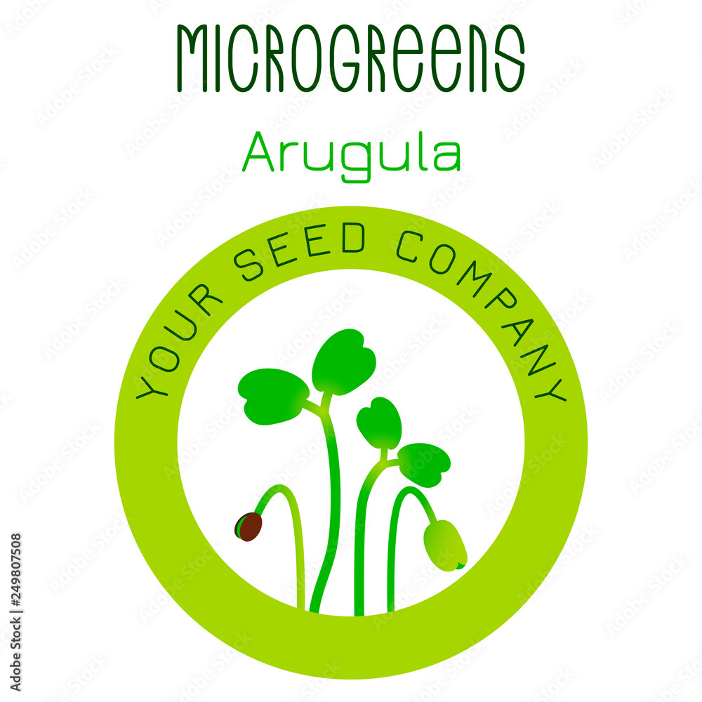 Microgreens Arugula. Seed packaging design, round element in the center ...