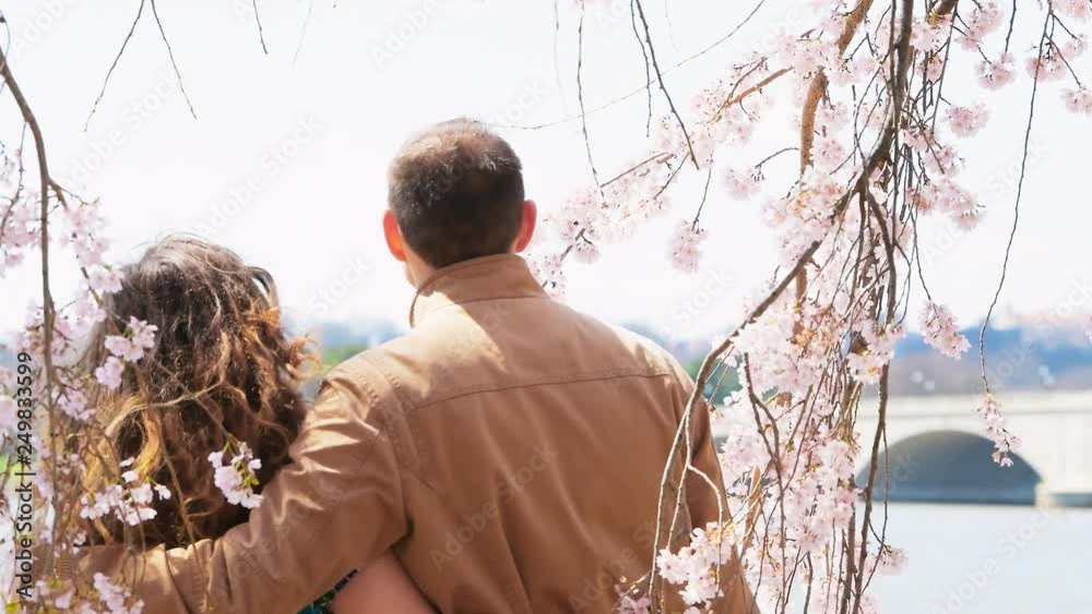 Back of young couple woman and man standing under cherry blossom tree ...