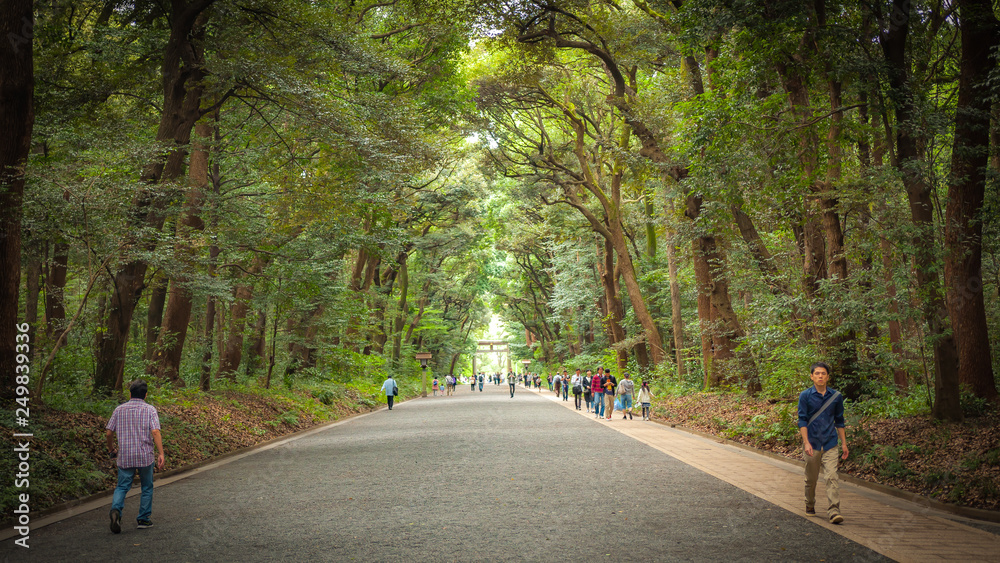 At the Meiji Shrine's entrance, Japanese visitors and international ...