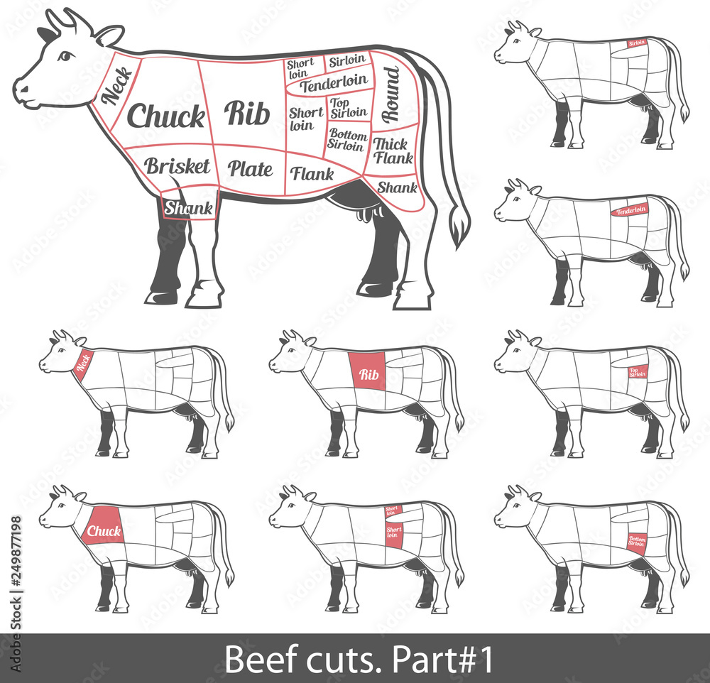 Beef cuts for butcher shop poster and label Stock Vector | Adobe Stock