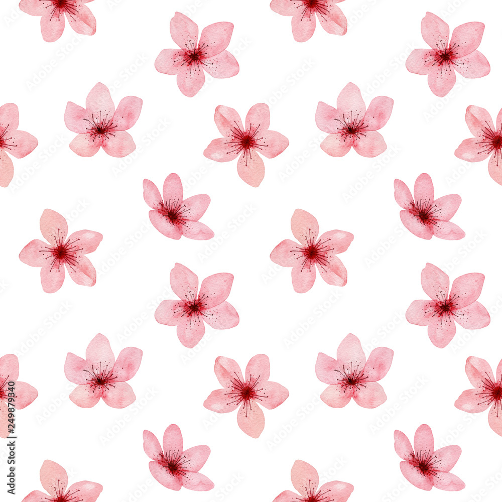 Seamless Pattern of hand drawn watercolor cherry blossom, delicate ...