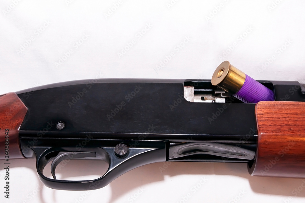 A purple 12 gauge shotgun shell shown partially in the chamber of a 12 ...
