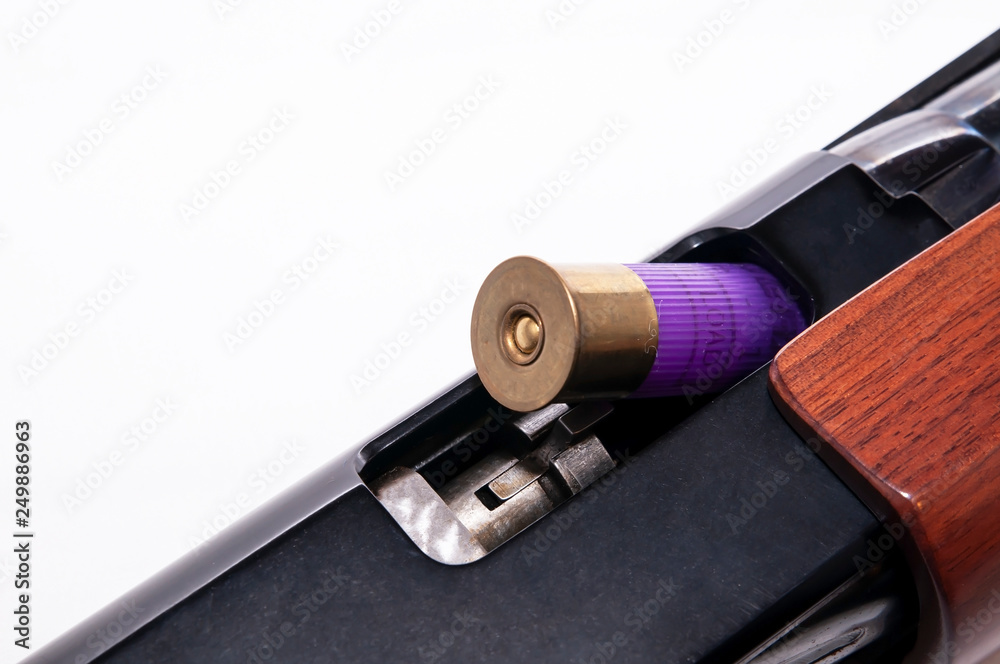 A purple 12 gauge shotgun shell shown partially in the chamber of a 12 ...