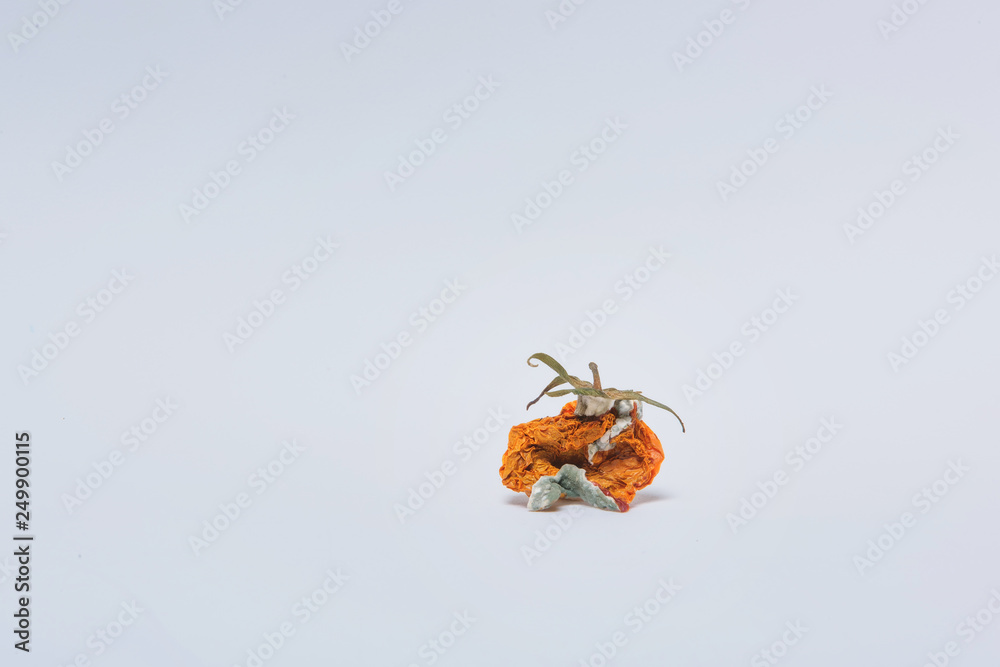 Dry rotten tomatoes. Mold on vegetables. Rotten product on white ...
