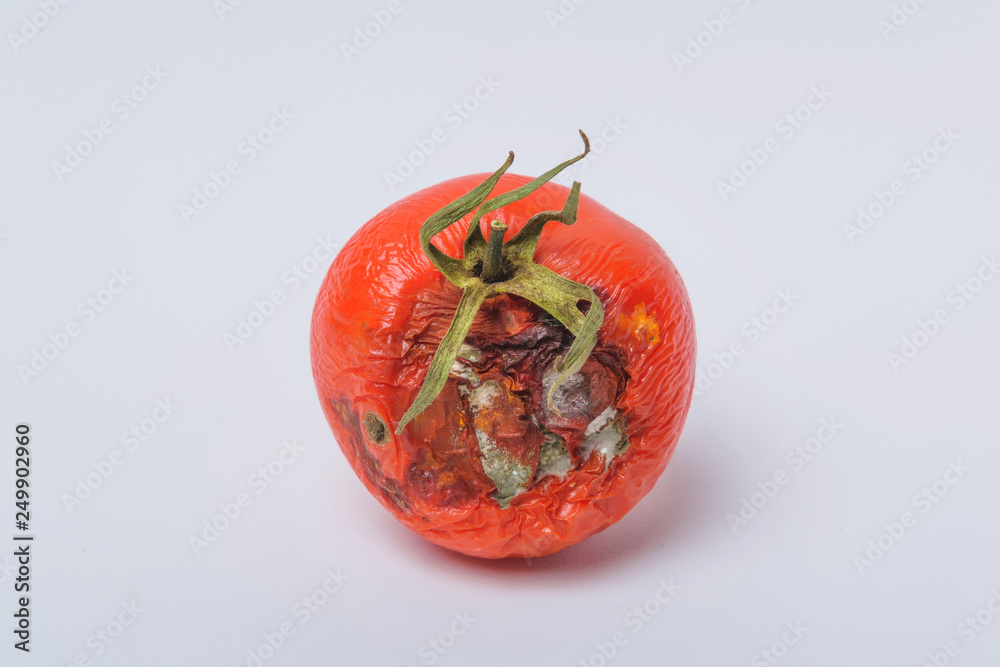 Rotten tomato. Mold on vegetables. Rotten product. Spoiled food. Rotten ...