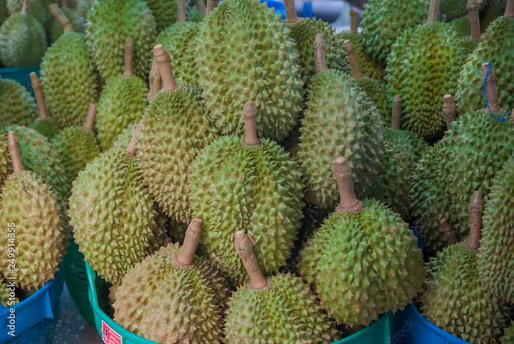 Durian, Durio zibethinus Murray, Durian from Thailand country Stock ...