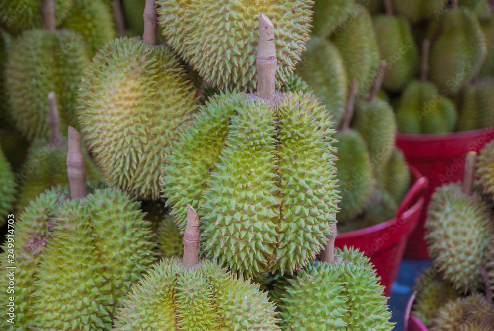 Durian, Durio zibethinus Murray, Durian from Thailand country Stock ...